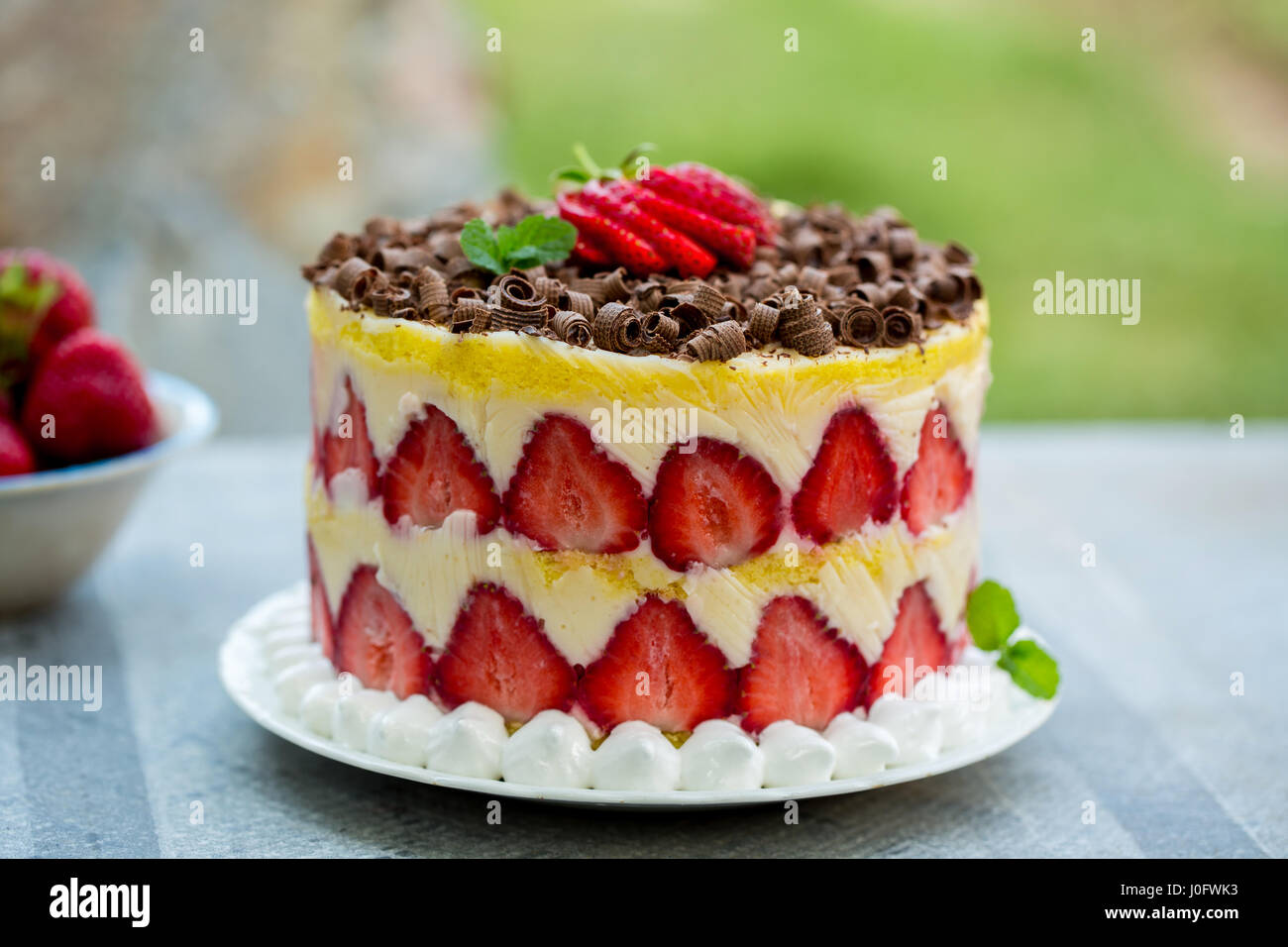 French cake fraisier strawberry hi-res stock photography and images - Alamy