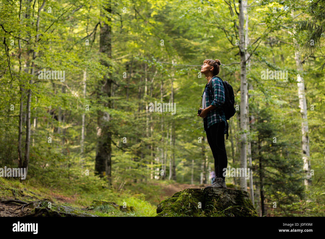 single traveler woman sitting on a log with her backpack and camera in ...