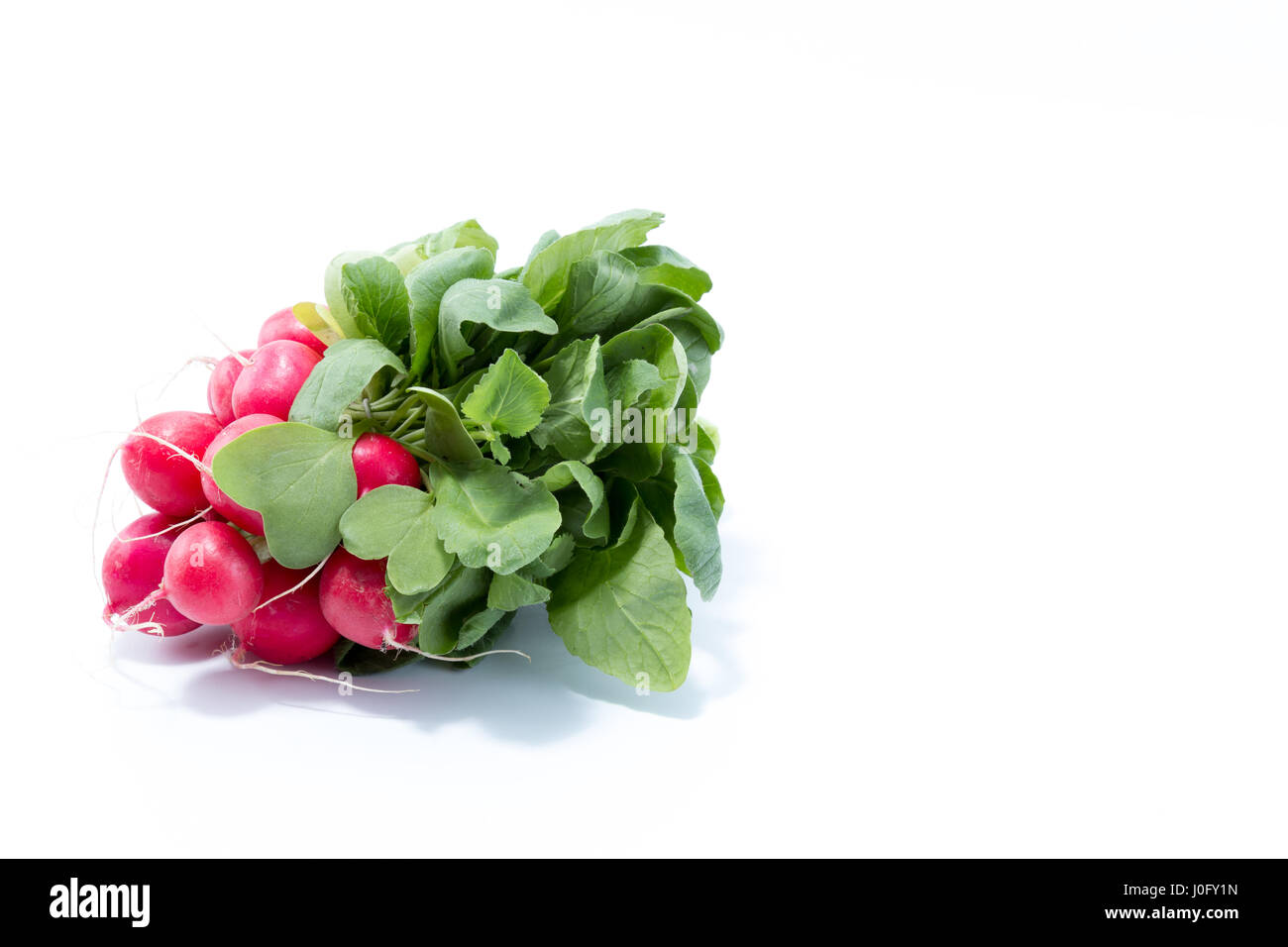 Fresh radish with green leaves isolated in white background Stock Photo ...