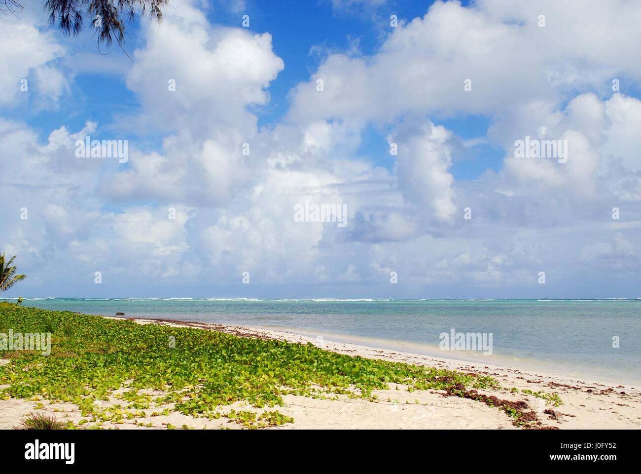 Micro Beach, Saipan Thick fluffy clouds above the blue waters of Micro ...