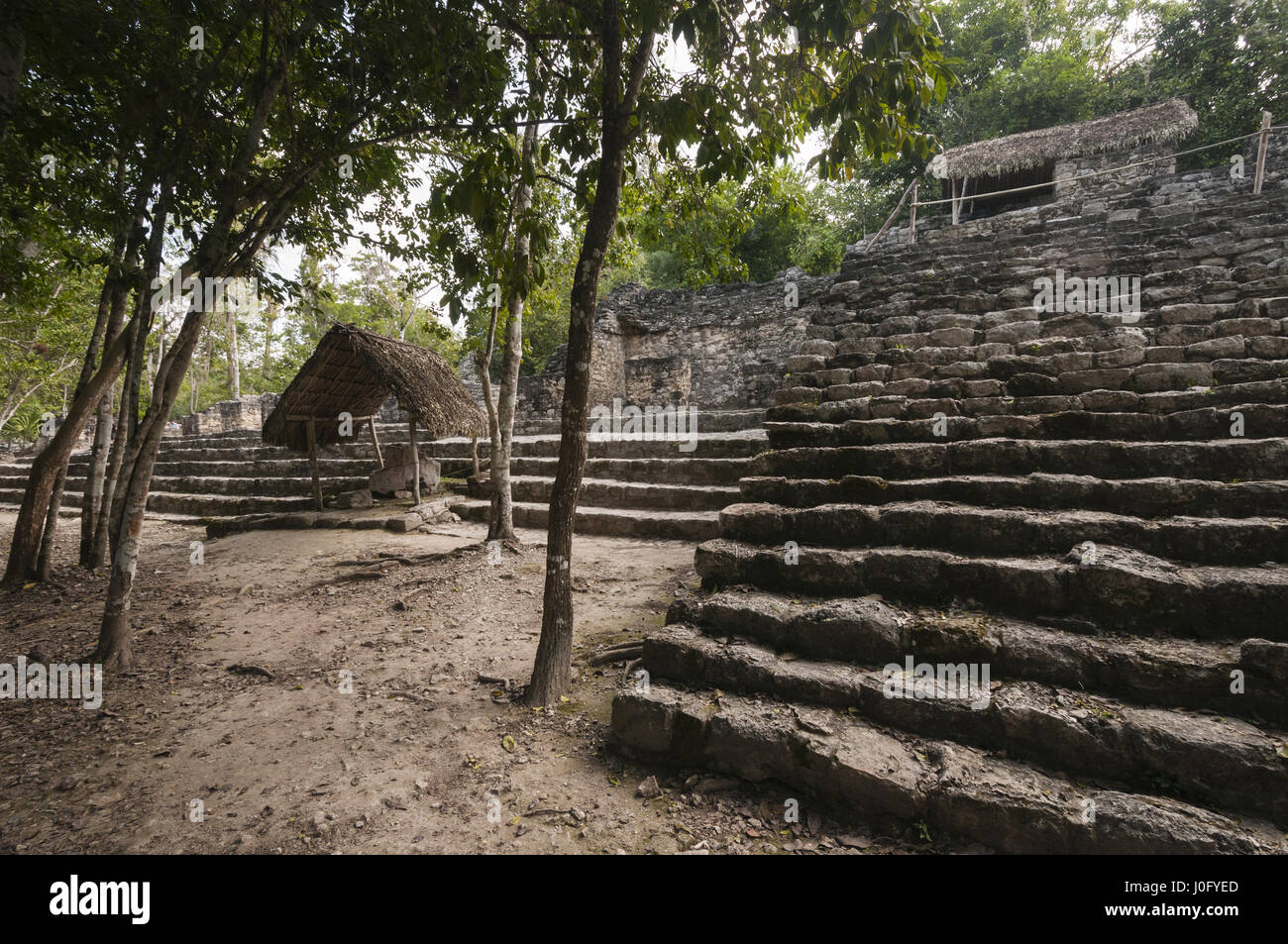 Mexico, Yucatan, Quintana Roo, Coba Mayan site, Grupo Coba Stock Photo ...