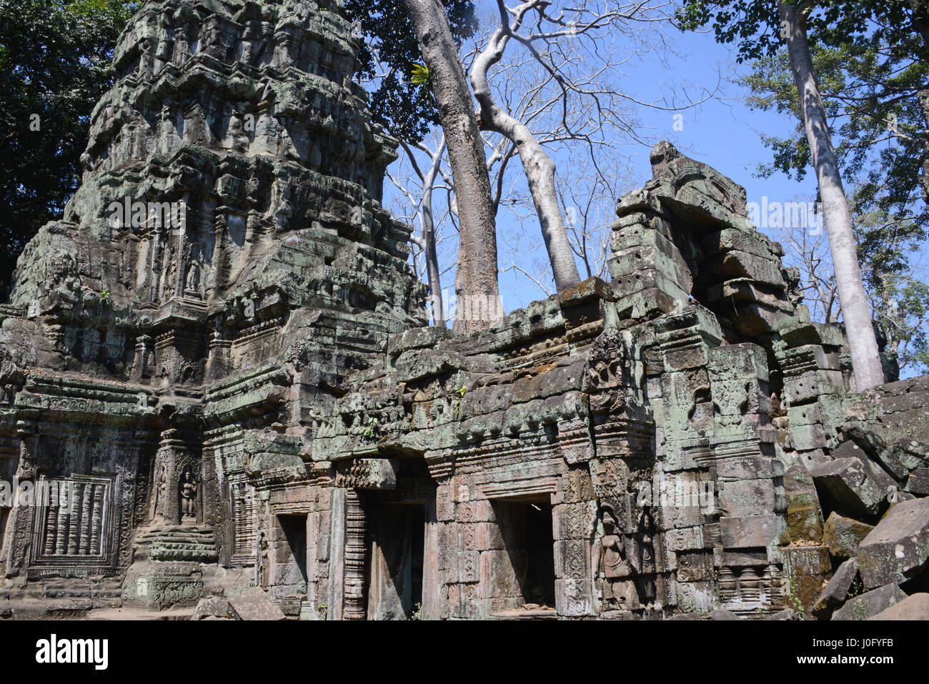 Trees and temple ruins at Ta Prohm, Angkor, Cambodia Stock Photo - Alamy