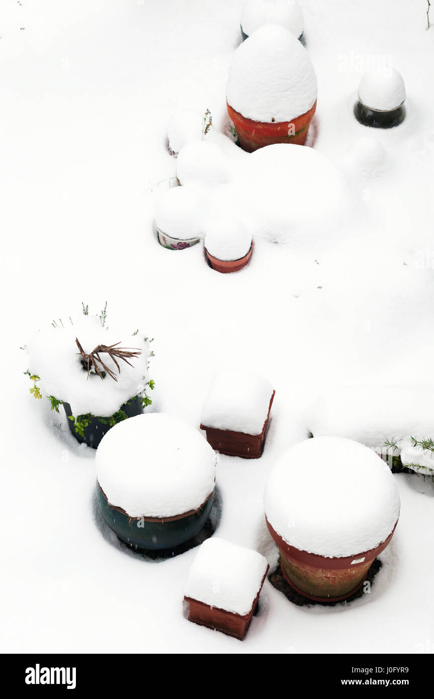 Flower and snow france hi-res stock photography and images - Alamy