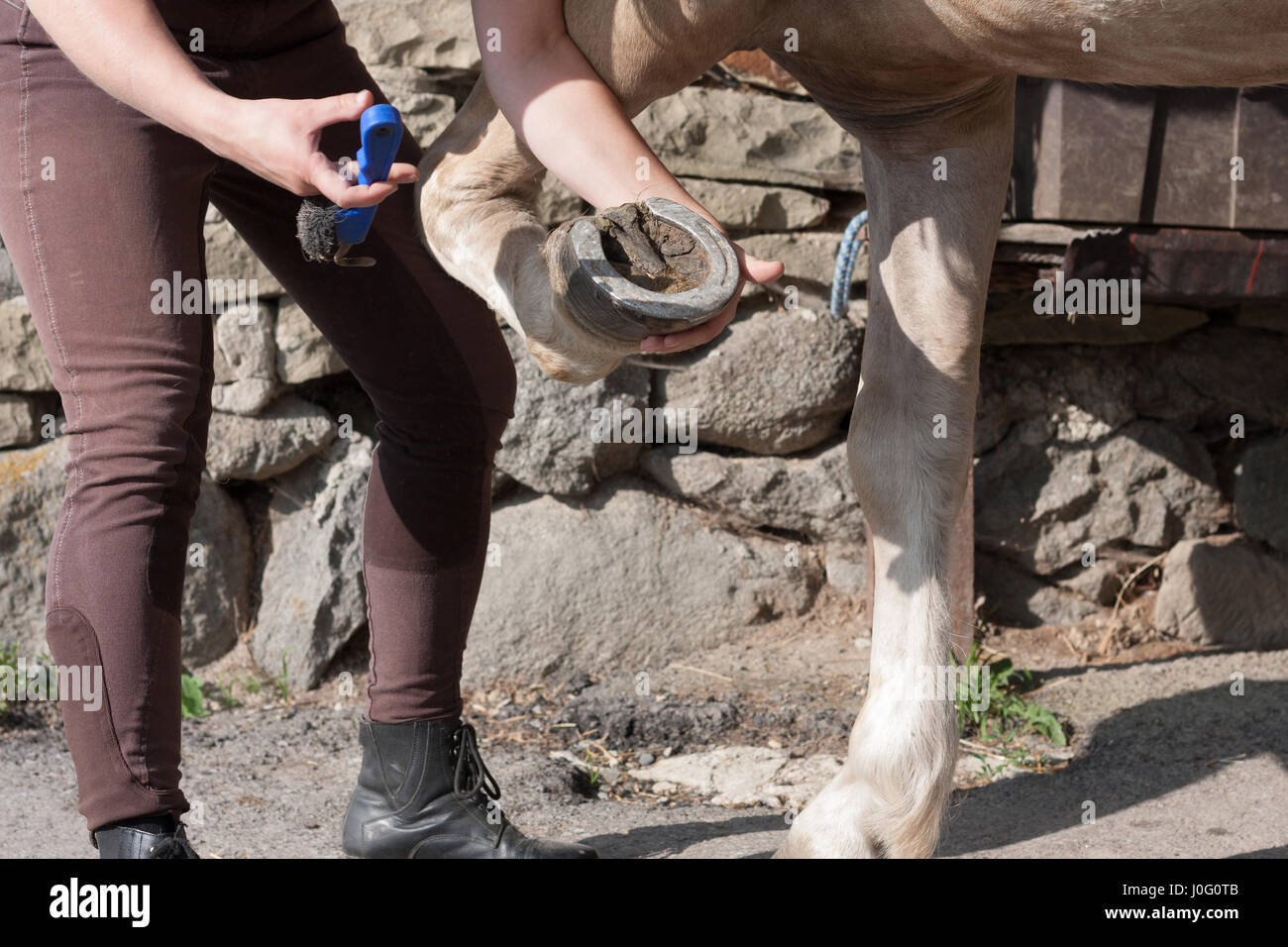 Hoof hook hi-res stock photography and images - Alamy