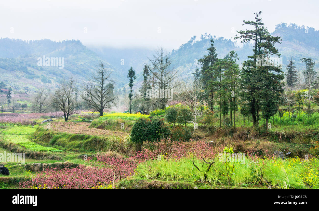 Colorful countryside scenery in spring Stock Photo - Alamy