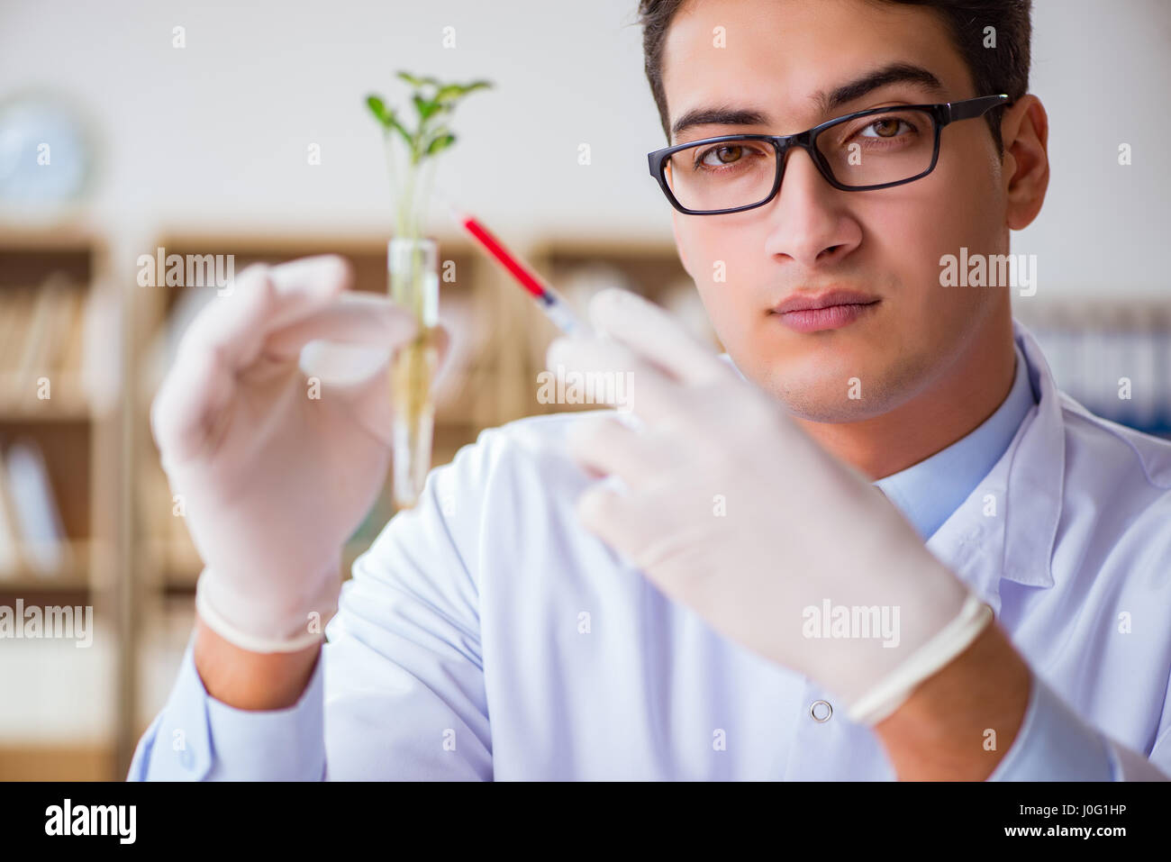 Biotechnology scientist working in the lab Stock Photo - Alamy