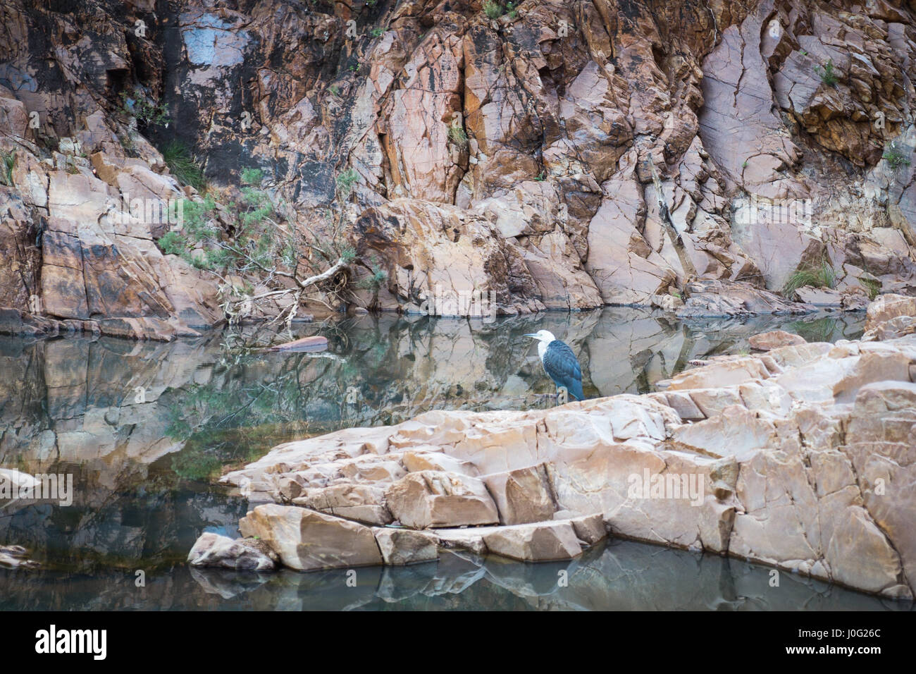 MacDonnell Ranges Redbank Gorge Northern Territory Stock Photo - Alamy