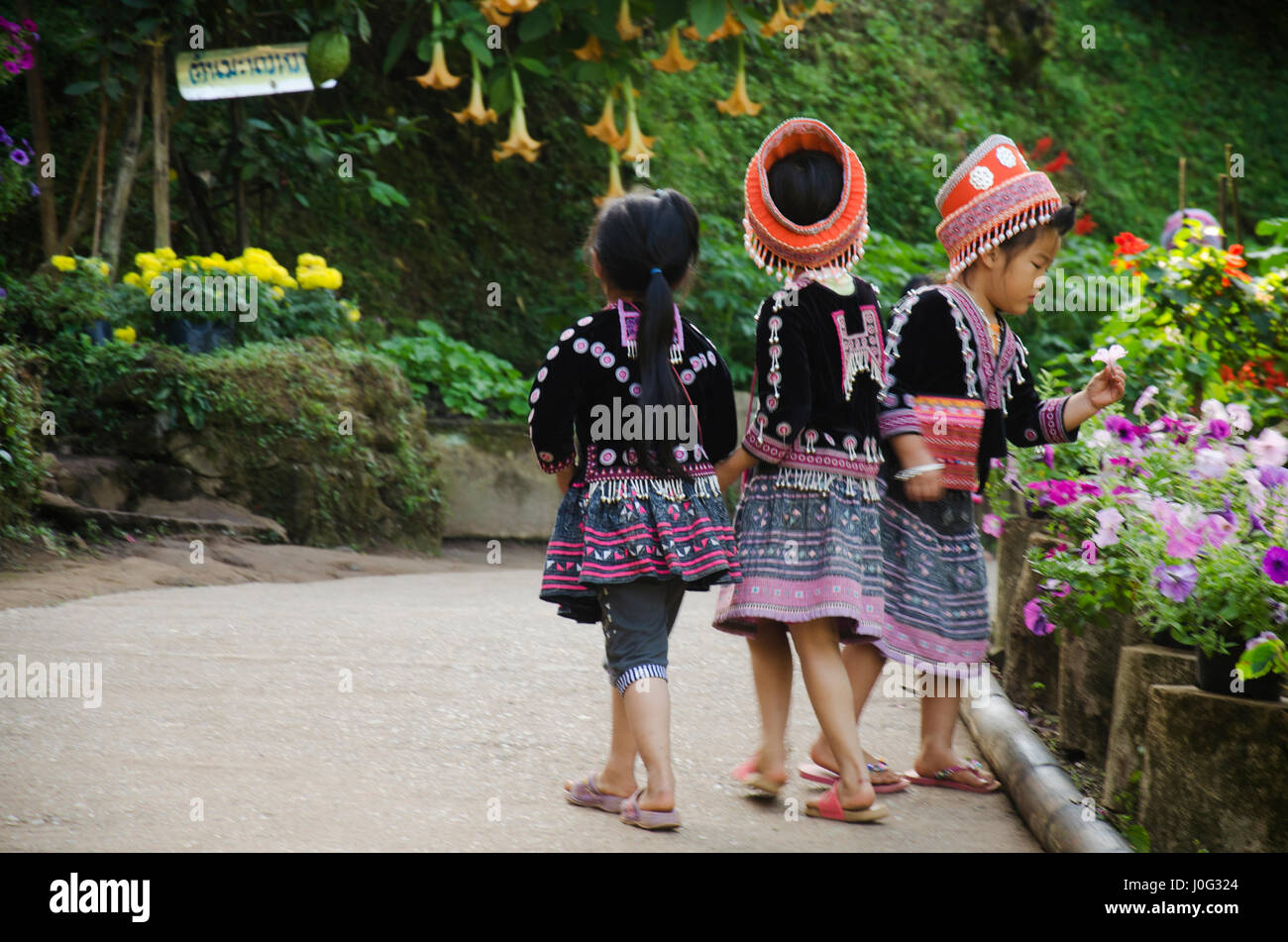 Children Ethnic Hmong wear costume traditional and playing with friends ...