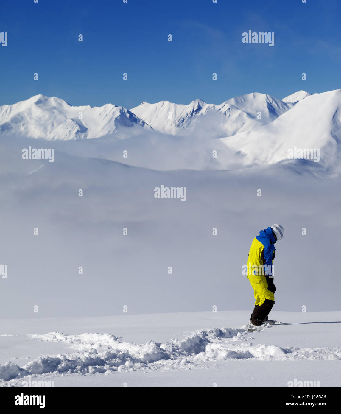 New fallen hi-res stock photography and images - Alamy