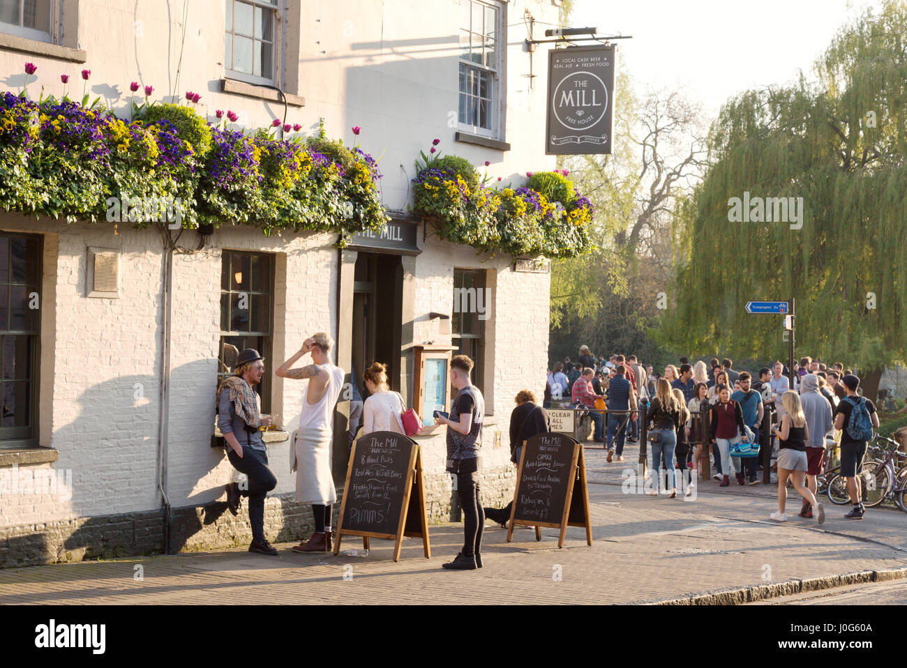 People outside The Mill Pub Cambridge UK Stock Photo - Alamy