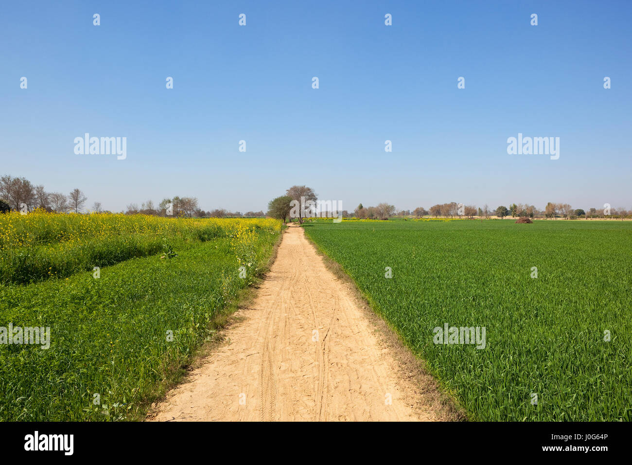 Rajasthan landscape hi-res stock photography and images - Alamy