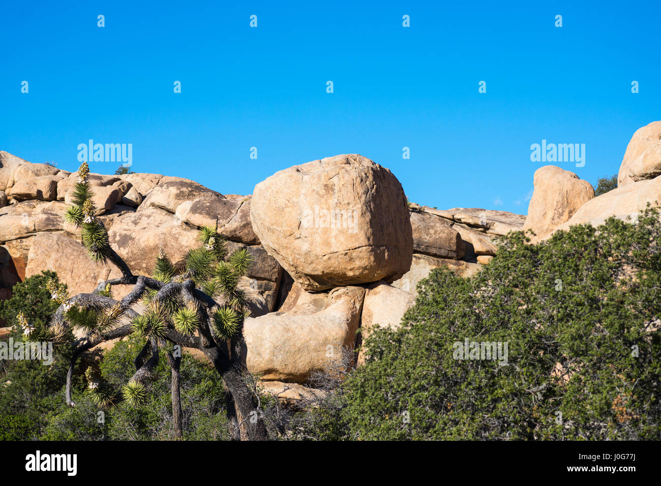 Rock formations on the Barker Dam Loop Trail. Joshua Tree National Park ...