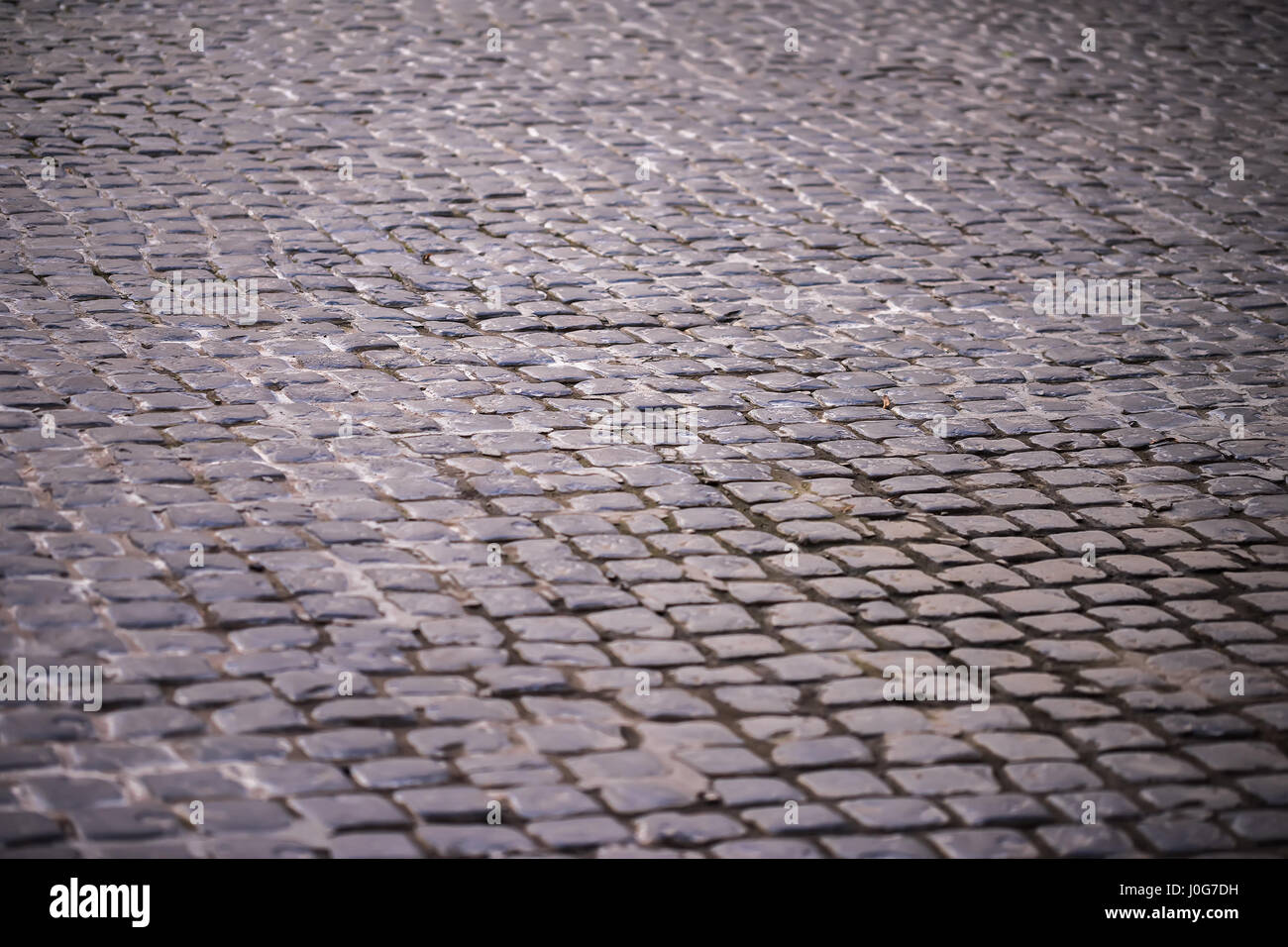 Cobblestone pavement, stone street pavement background with selective ...