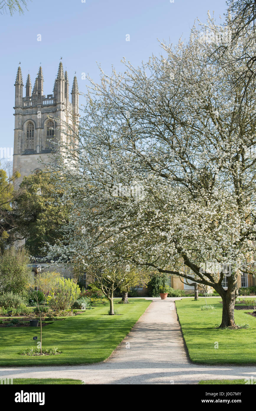 Botanical gardens oxford uk hi-res stock photography and images - Alamy