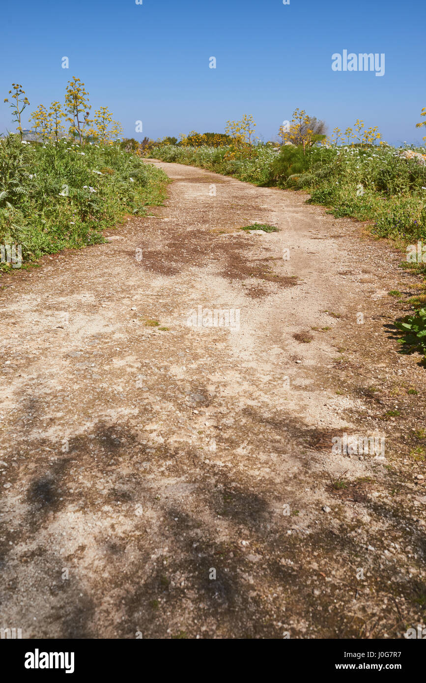 Land and trees hi-res stock photography and images - Alamy