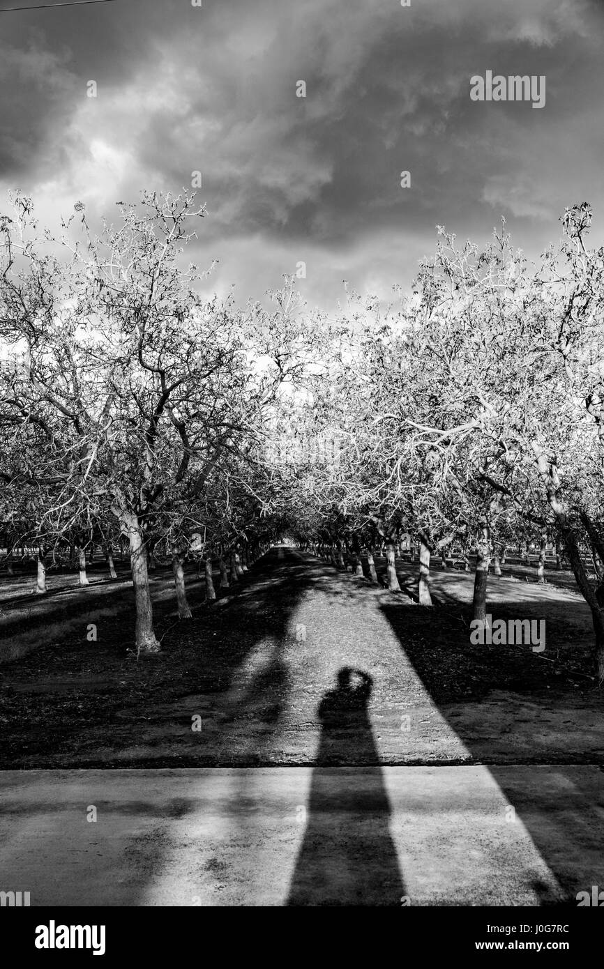 Long shadows at sunset hi-res stock photography and images - Alamy