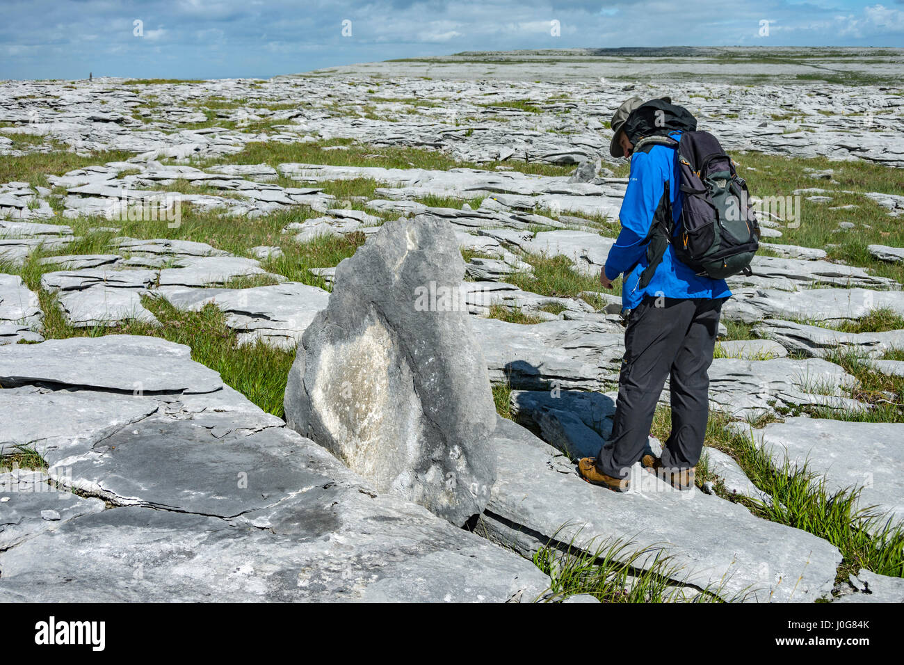 A walker examines an upturned flake on limestone pavement on the ...