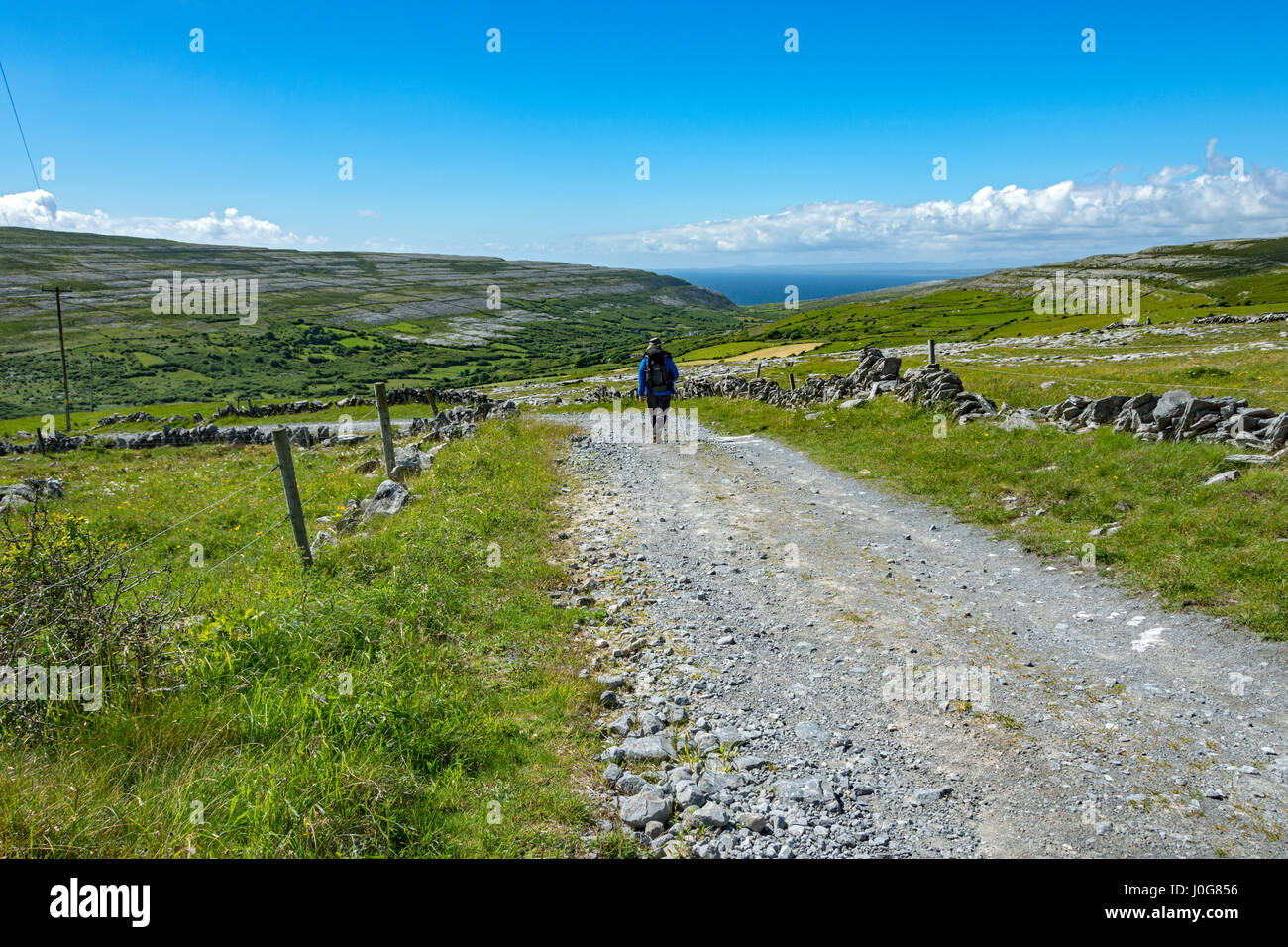 A walker on a track heading down into the Caher Valley, The Burren ...