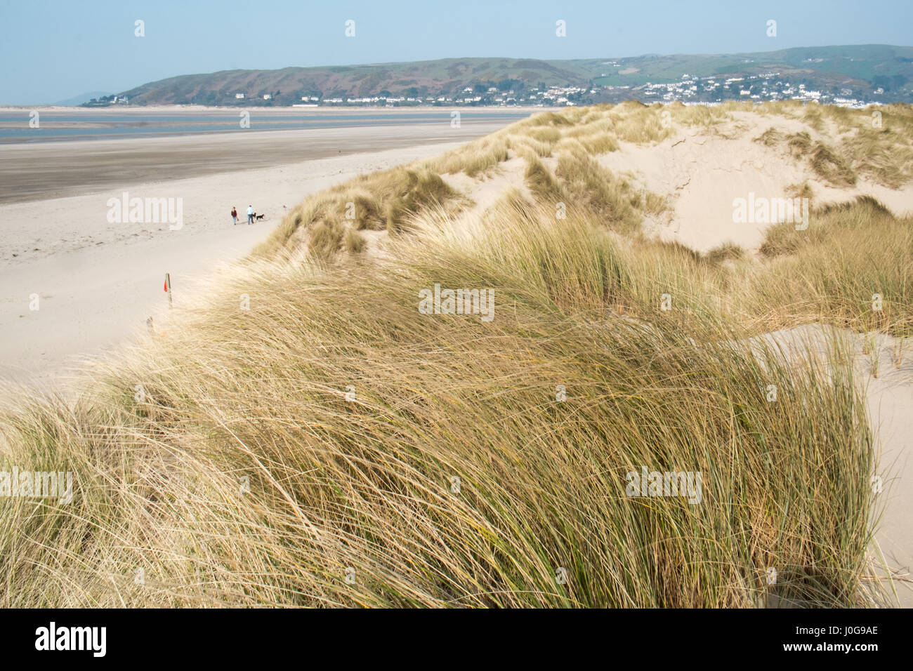 Ynyslas national nature reserve hi-res stock photography and images - Alamy