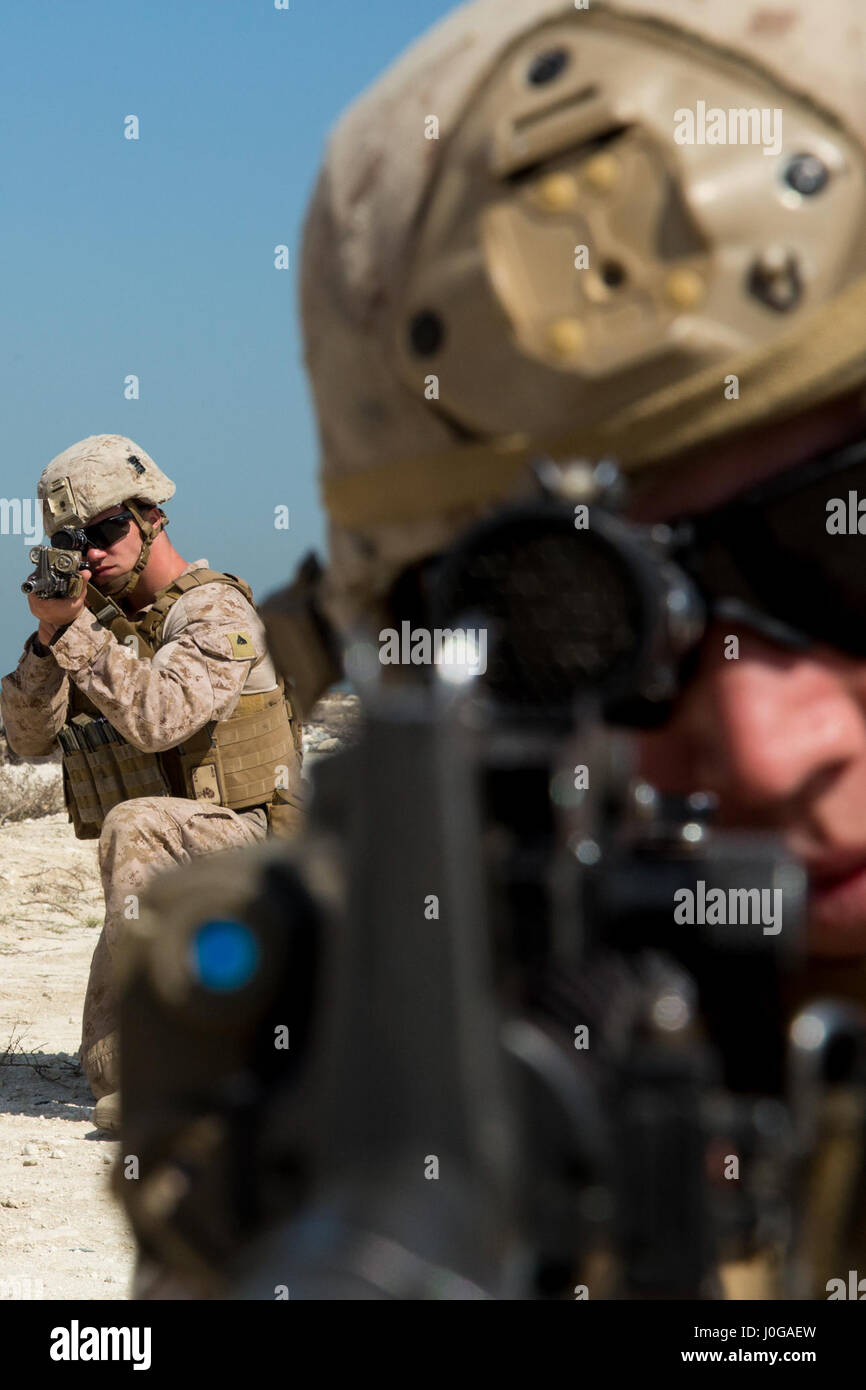 Royal saudi special security forces hi-res stock photography and images ...