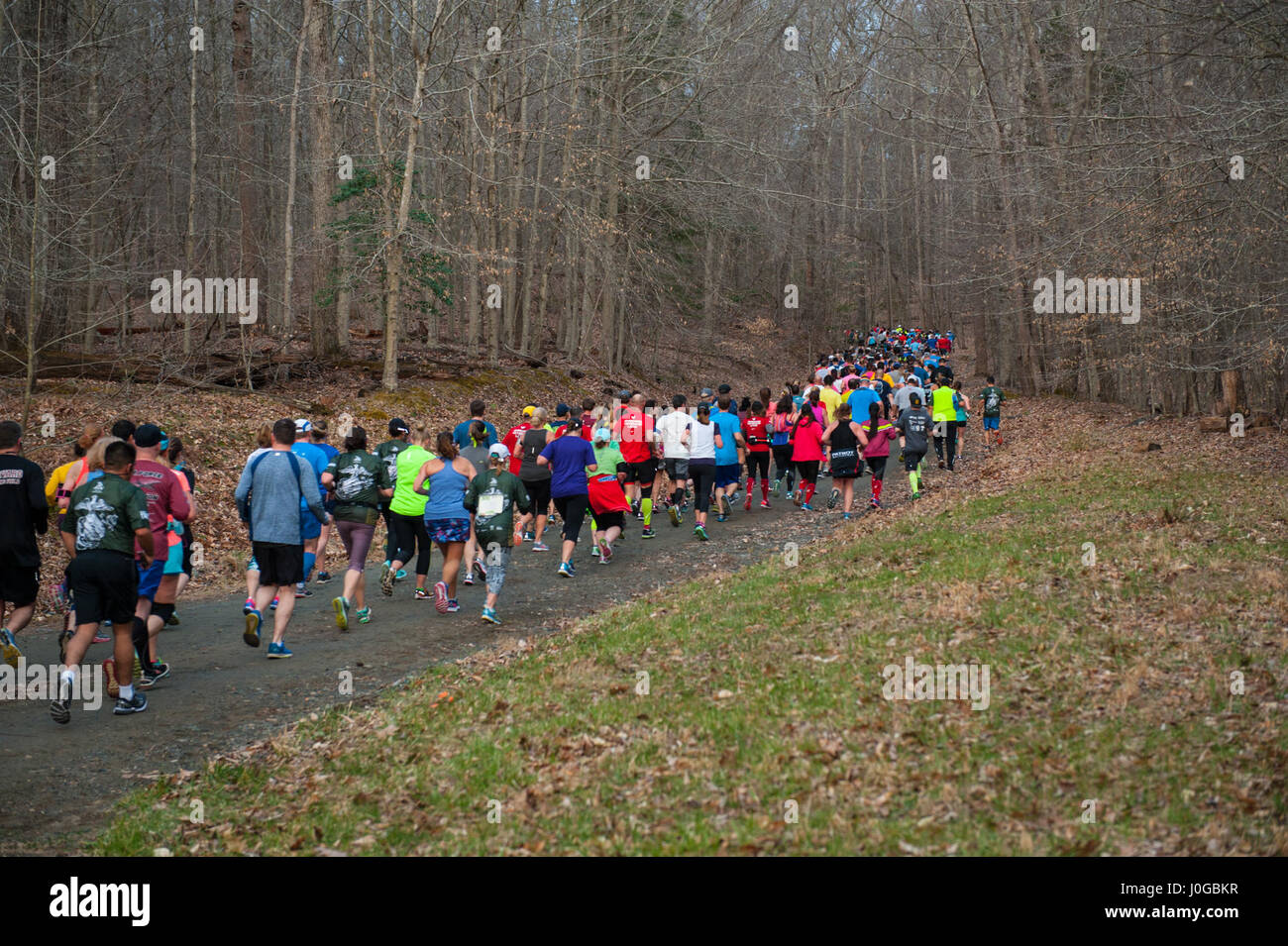 Participants of the Marine Corps Marathon (MCM) 17.75K run the course ...