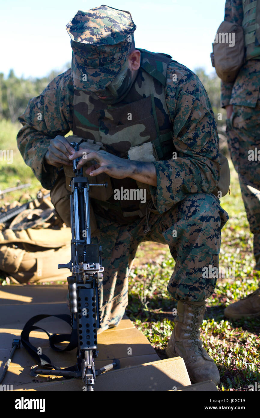 U S Marine Corps Lance Cpl Fernando Rayon An Administrative Clerk