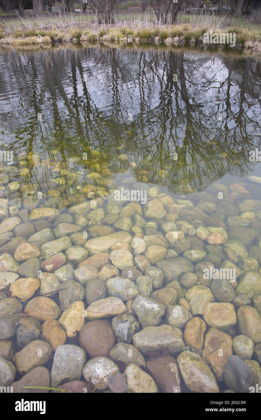 Colored stones in the pond at the Water Garden at the Brooklyn Botanic ...