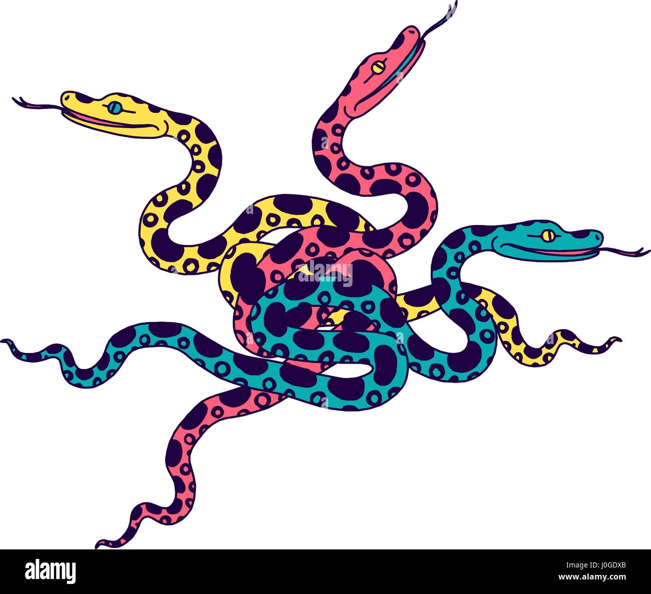 Vector illustration of tropical snake Stock Vector Image & Art - Alamy