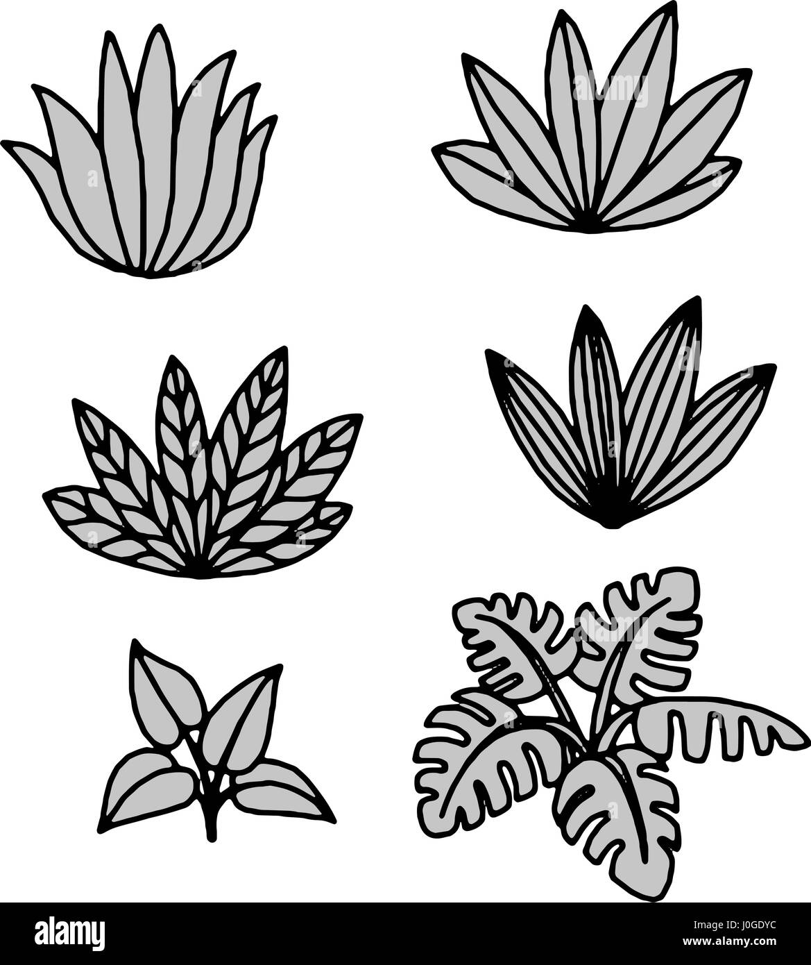 Tropical leaves palm monstera Black and White Stock Photos & Images - Alamy