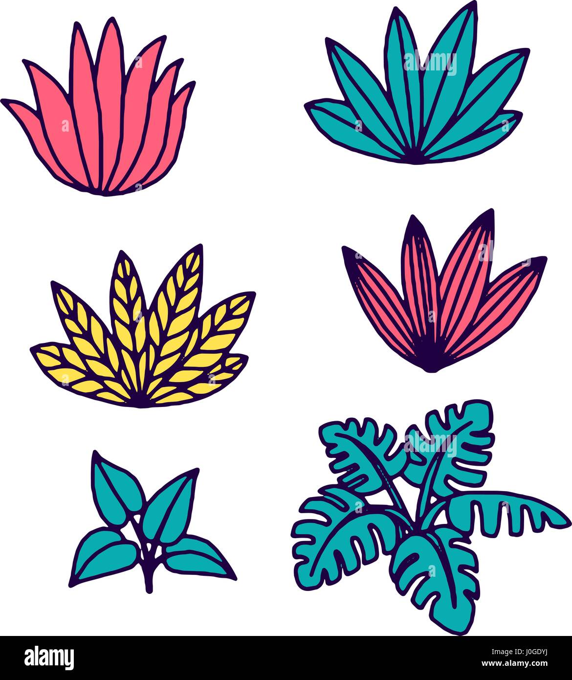 Natural flowers plants leaves Stock Vector Images - Alamy