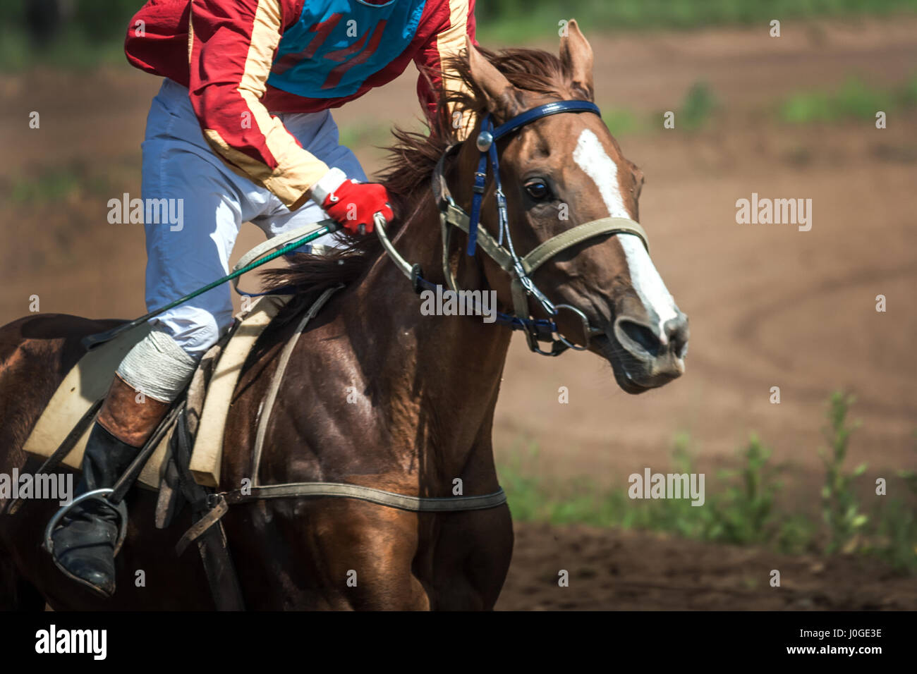 A horse running at a horse race Stock Photo - Alamy