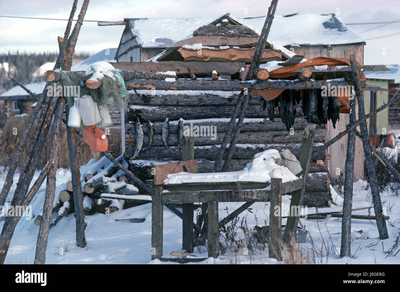 Vuntut gwitchin hi-res stock photography and images - Alamy