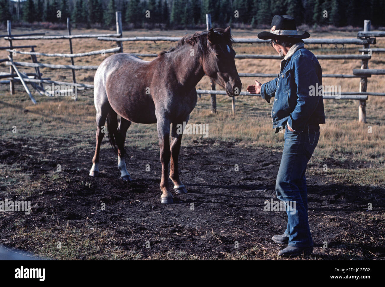 Tagish First Nation with his horses, Carcross, Yukon Territories ...