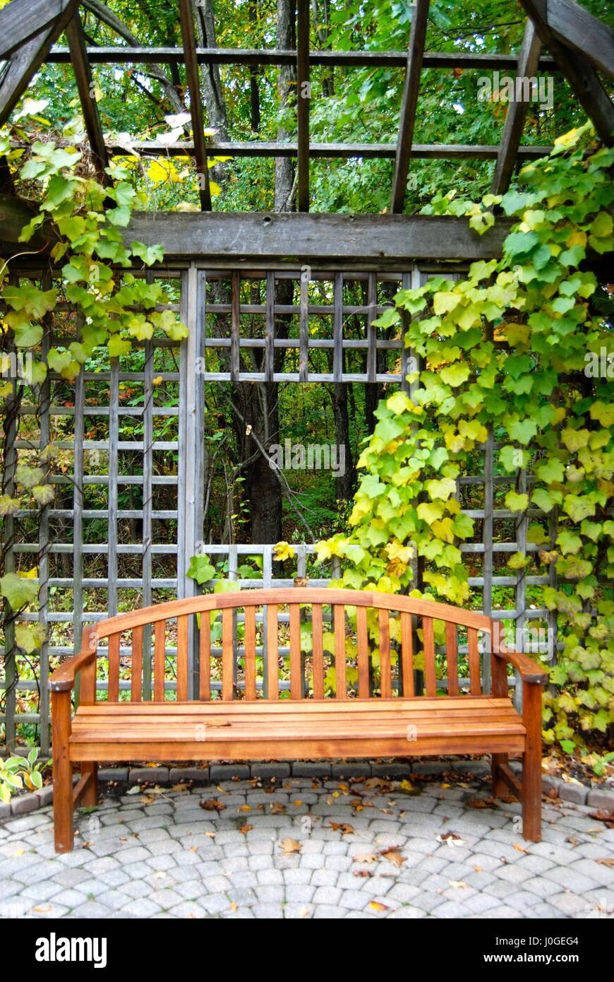 Secret garden bench hi-res stock photography and images - Alamy
