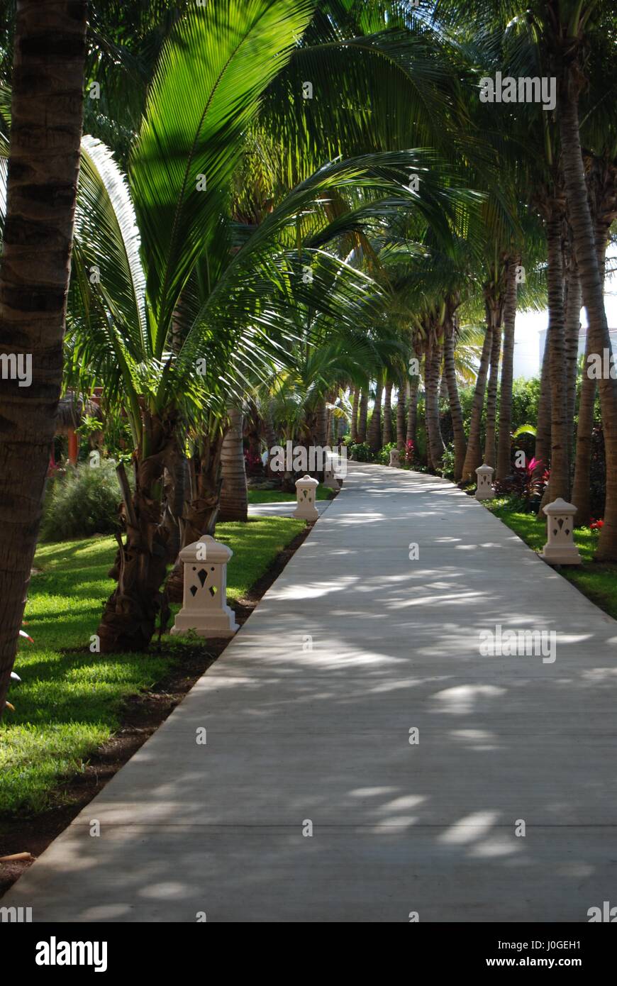 Wedding riviera maya hi-res stock photography and images - Alamy