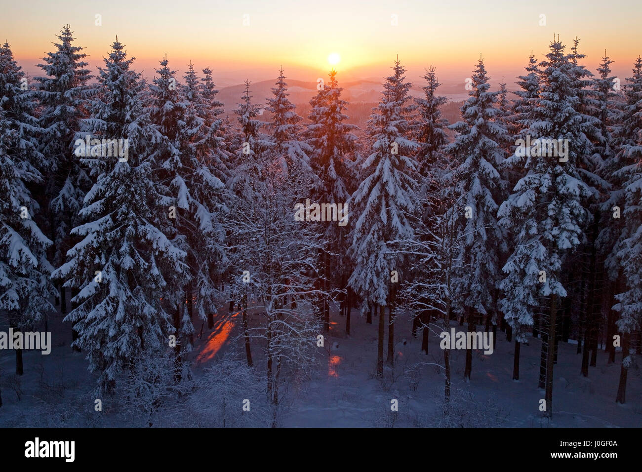 Backlit trees snow hi-res stock photography and images - Alamy