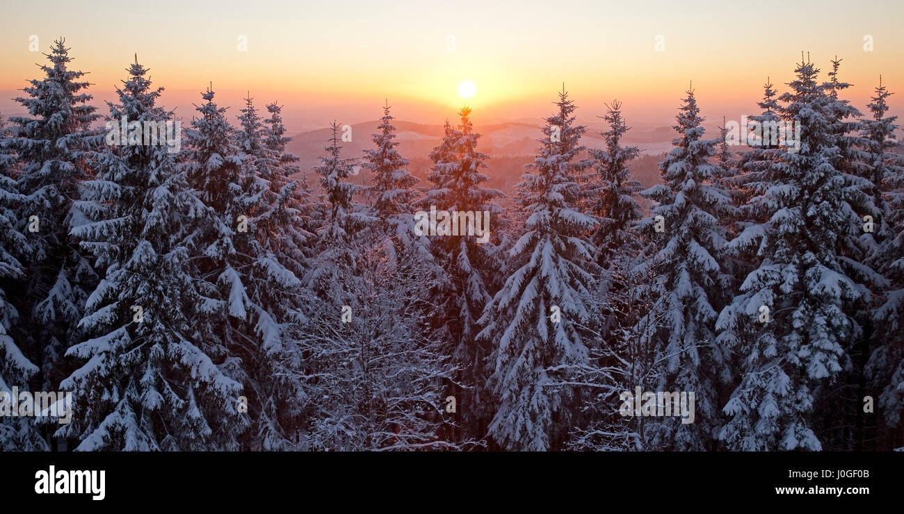 Backlit trees snow hi-res stock photography and images - Alamy