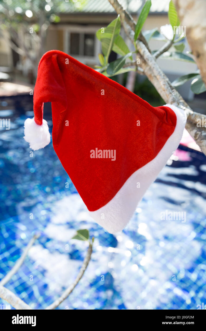 Christmas swimming pool hi-res stock photography and images - Alamy