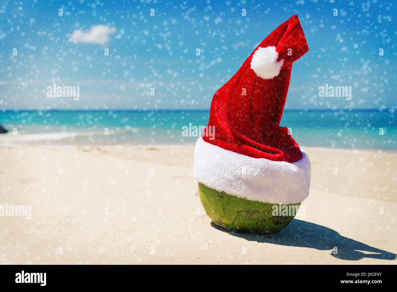 Coconut in a Santa Christmas hat in sand on a tropical beach - Holiday ...