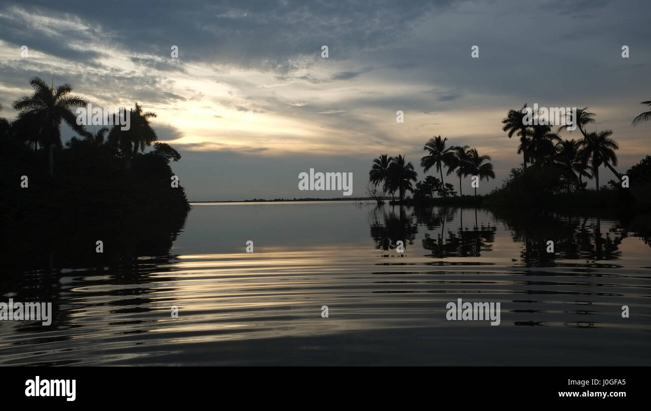 Zapata swamp national park hi-res stock photography and images - Alamy