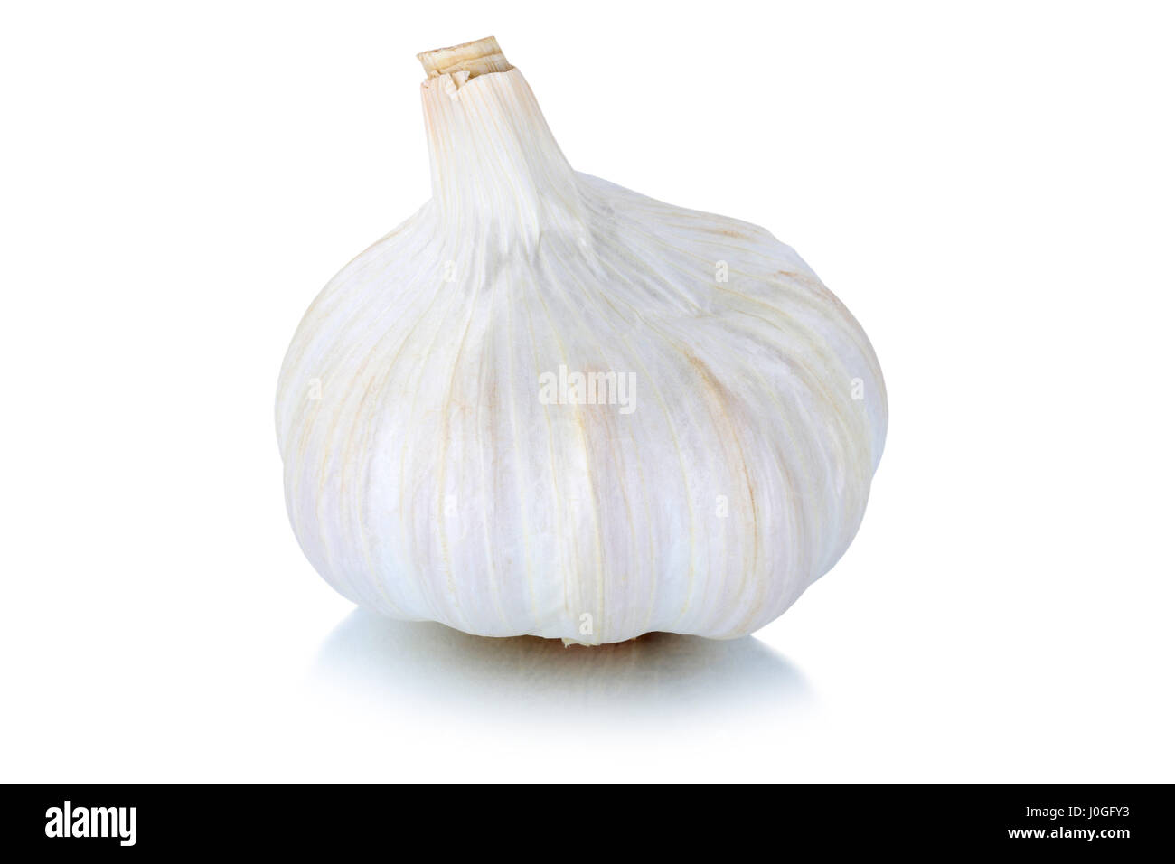 Garlic healthy eating spice fresh vegetable isolated on a white ...