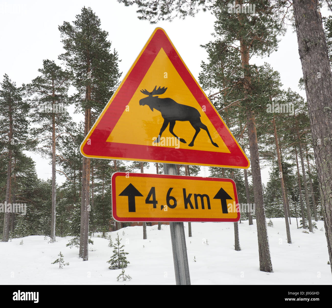 Reindeer road finland hi-res stock photography and images - Alamy