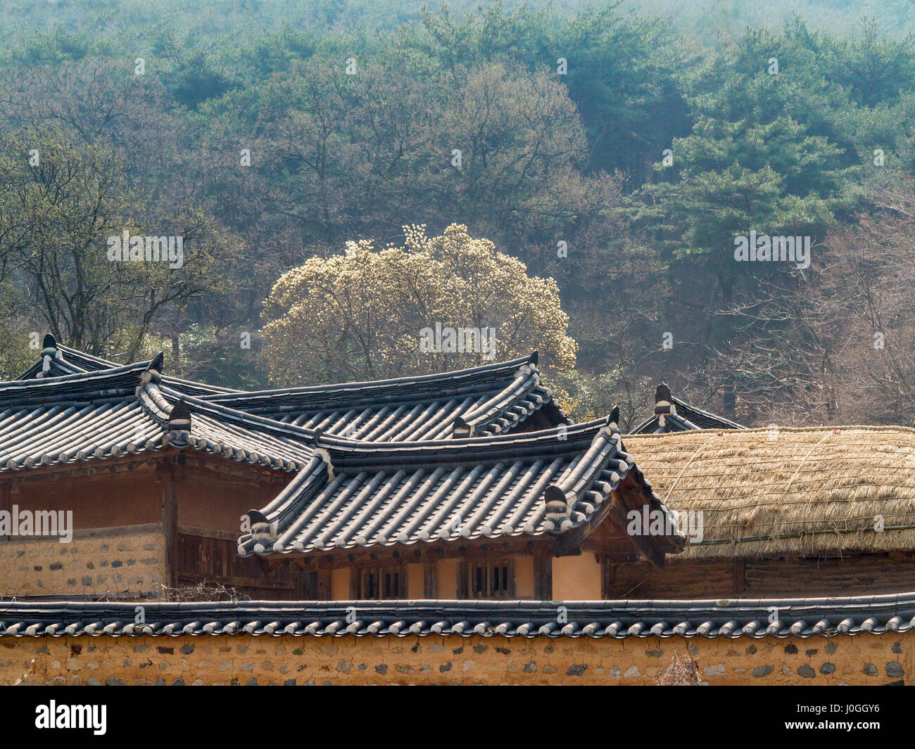 Scenic view of Yangdong Village north Gyeongju South Korea Stock Photo ...