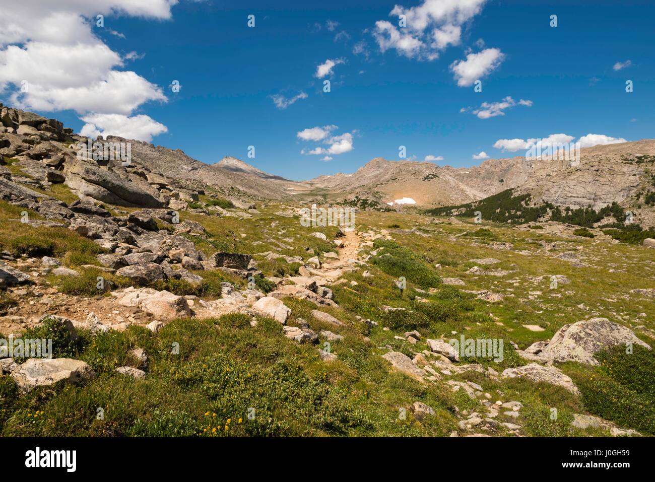 On the way to Adams Pass on the Bears Ears Trail, Shoshone National ...