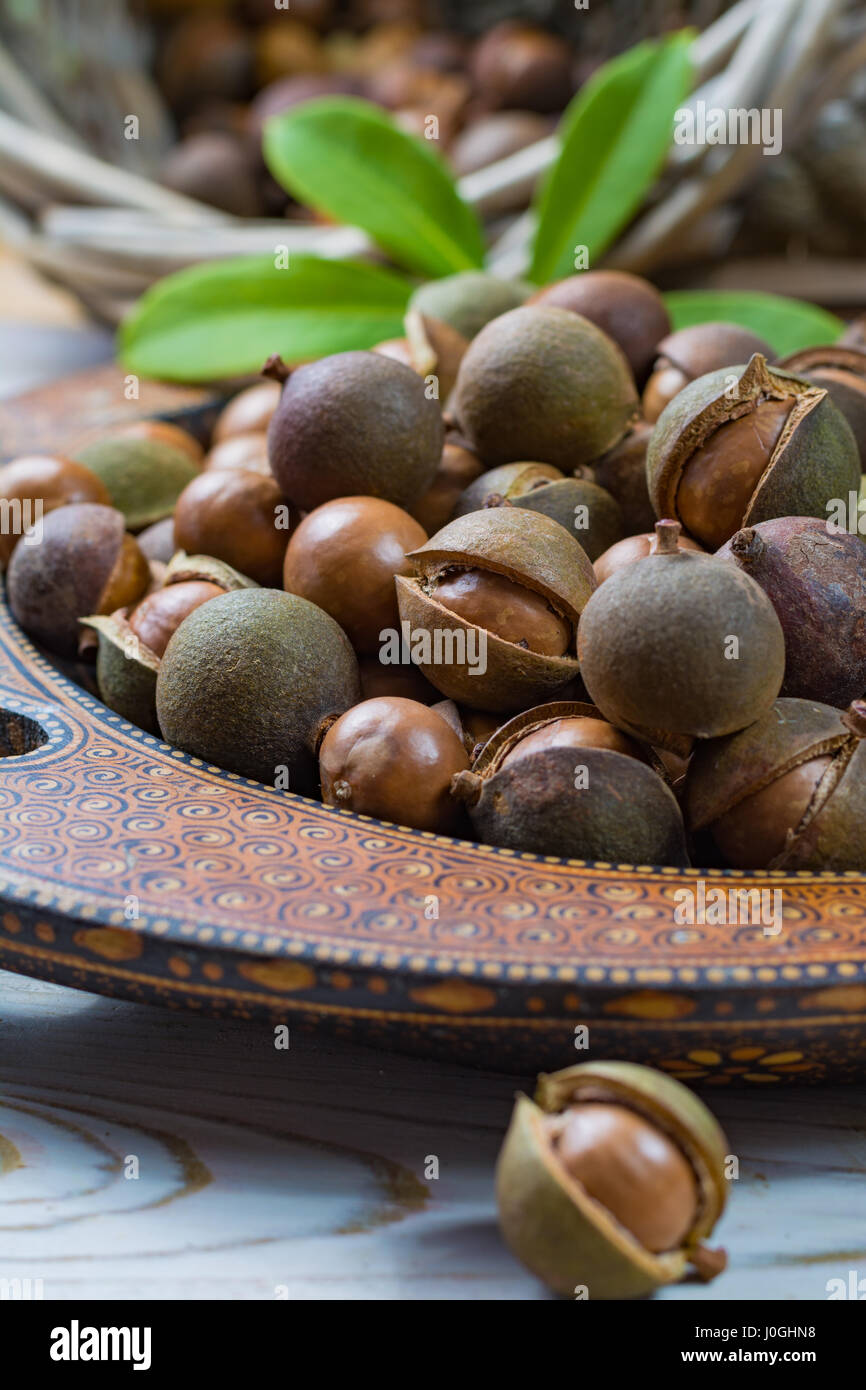 Macadamia nuts harvest close up with leaves Stock Photo - Alamy