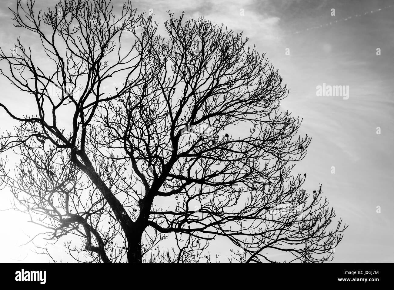 Good by nature Black and White Stock Photos & Images - Alamy