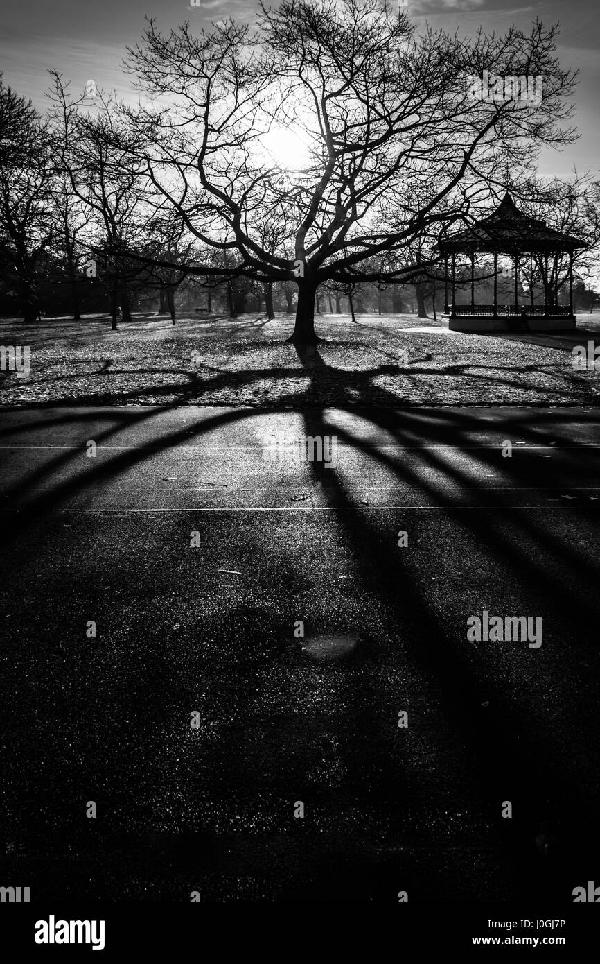 Good autumn Black and White Stock Photos & Images - Alamy