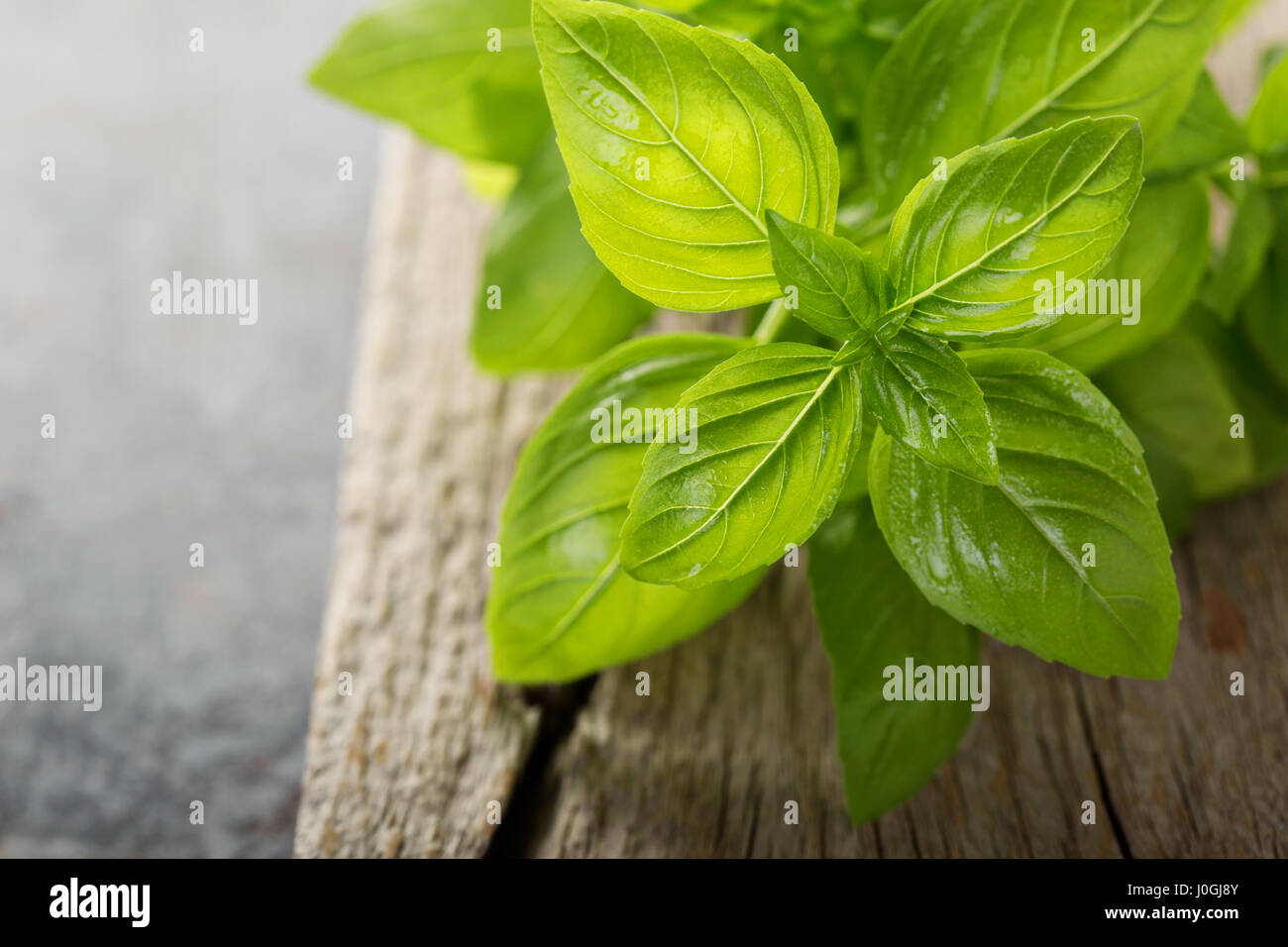 Herb basil fresh pile hi-res stock photography and images - Alamy
