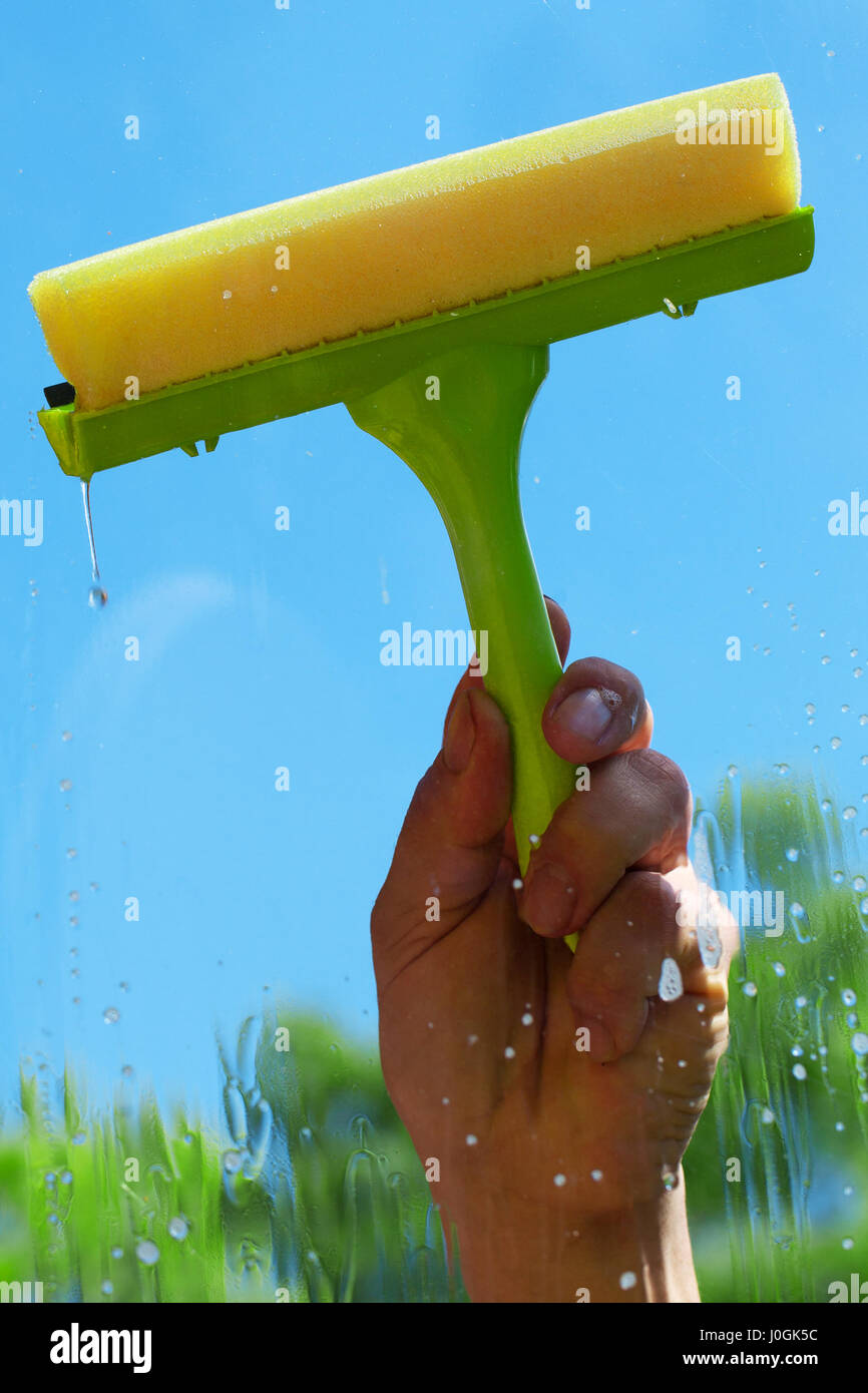 Human hand washing window in nice summer day Stock Photo - Alamy