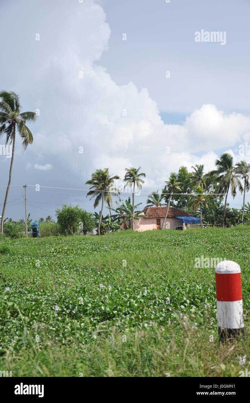 Kerala, Farm Land Purification, Kuttanad, Historical Homes= (Photo ...